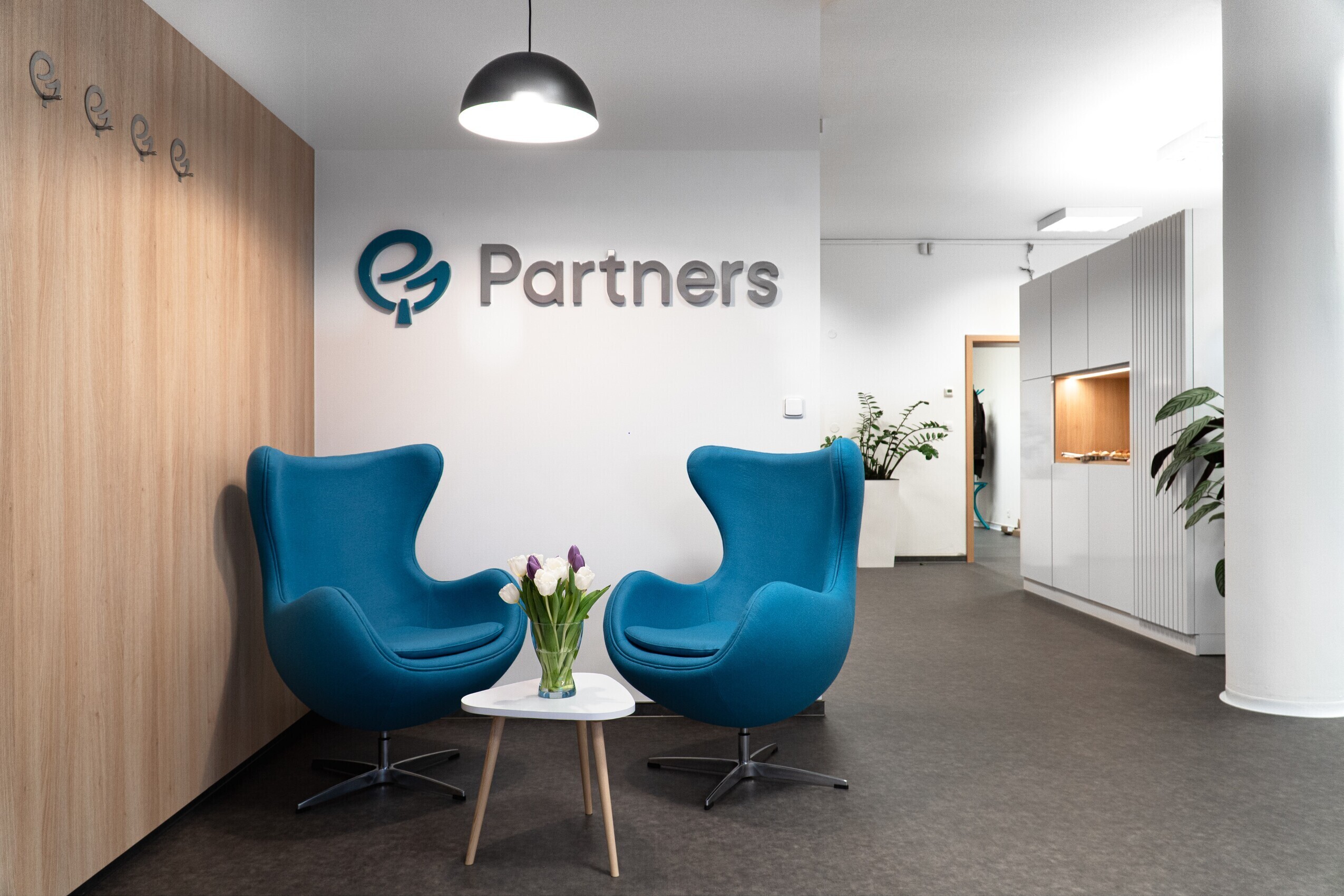 Partners Financial Services, a.s. - Partners HoldCo